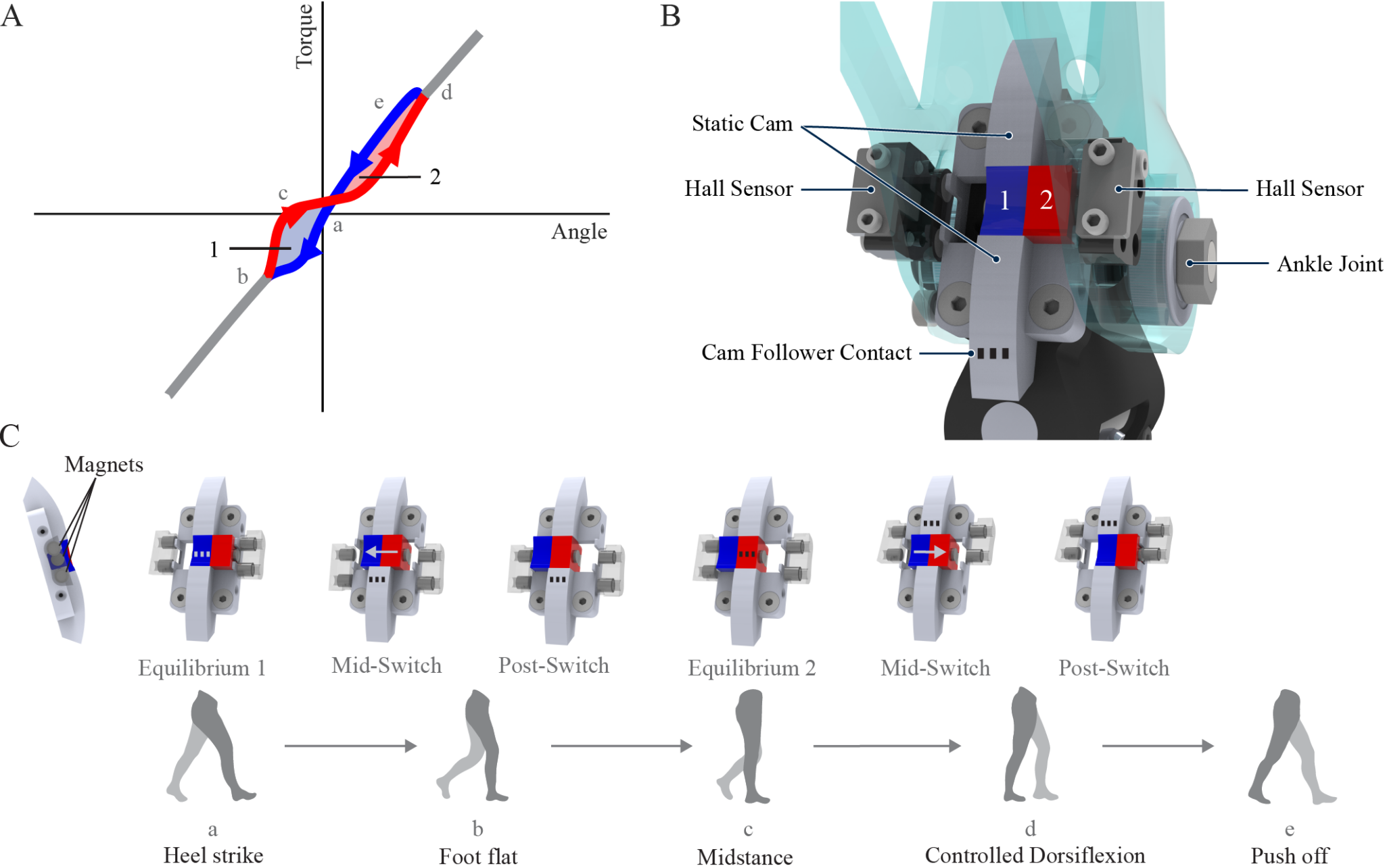 Decoupled Energy Storage and Return Module – Neurobionics Lab